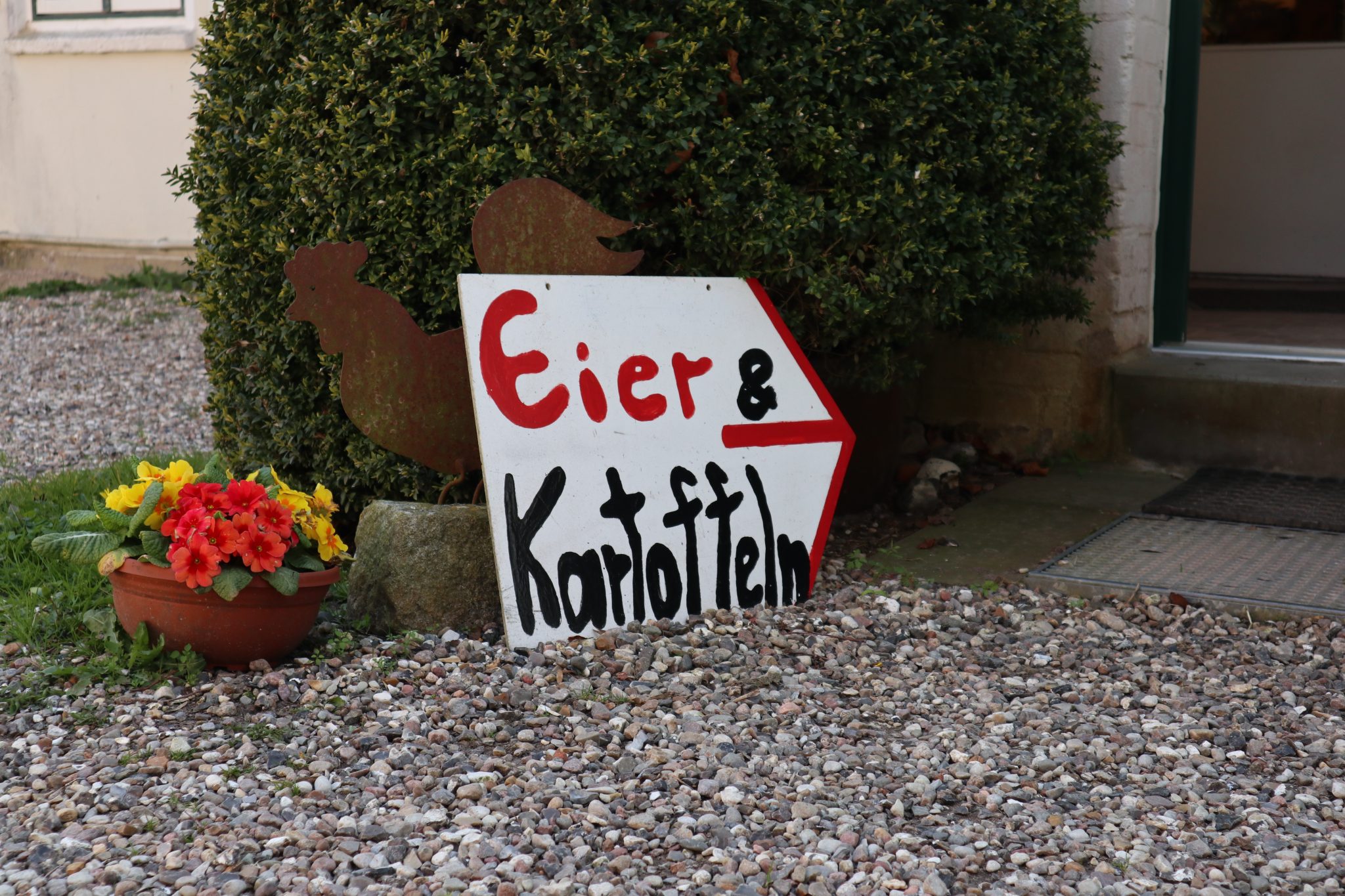 Unser Hof - Biohof Bokhorst